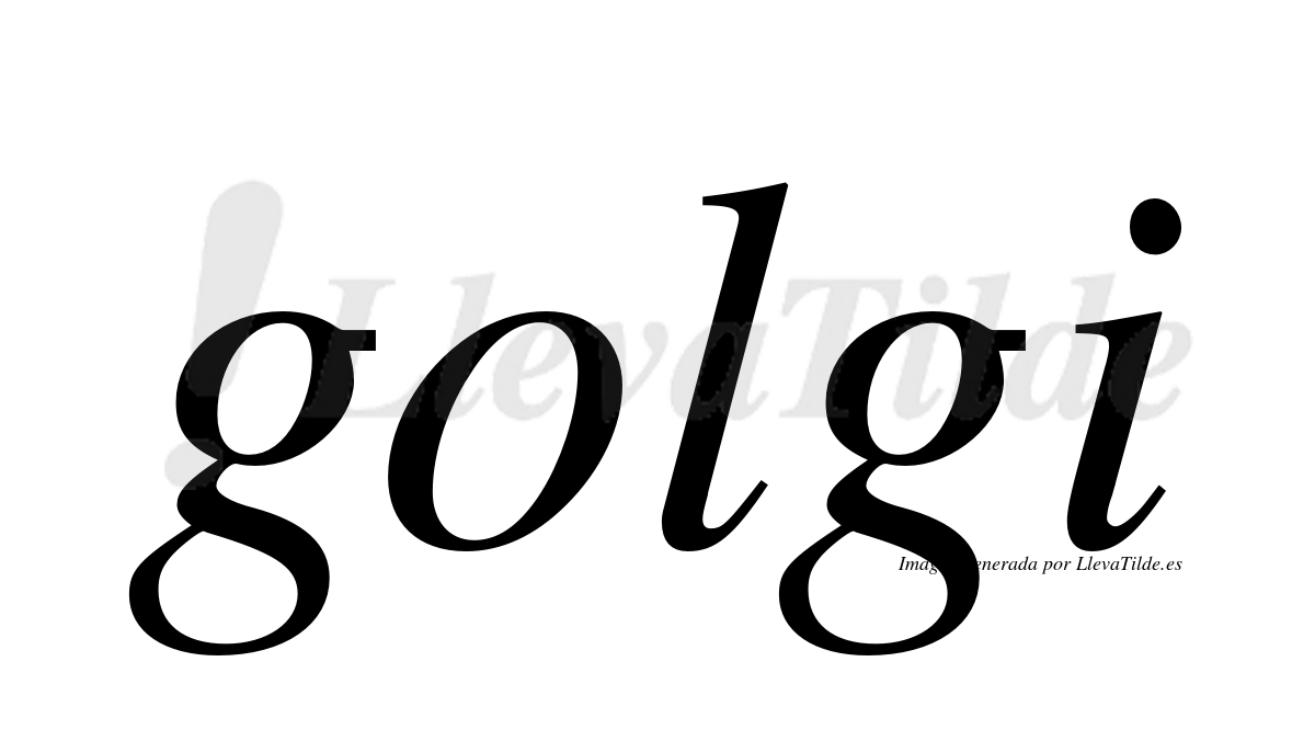 ¿Lleva tilde golgi? | LlevaTilde.es