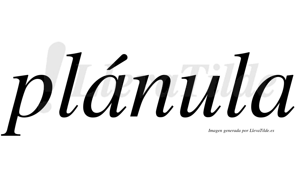 ¿Lleva tilde plánula? | LlevaTilde.es