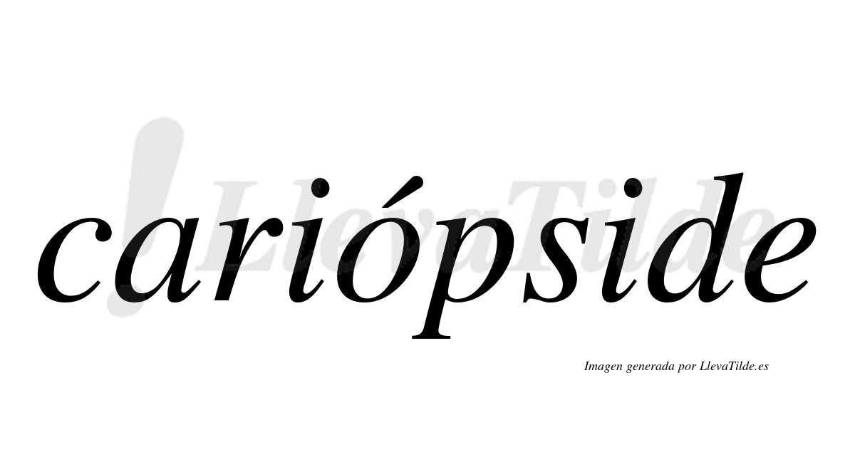 ¿Lleva tilde cariópside? | LlevaTilde.es
