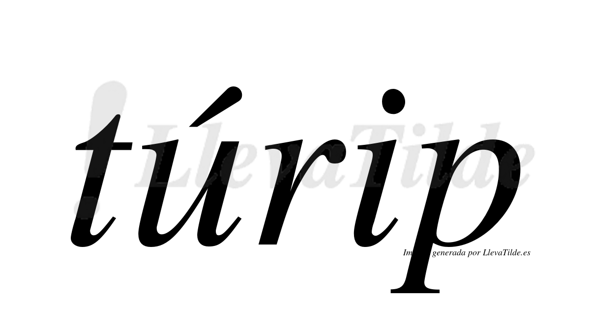 ¿Lleva tilde túrip? | LlevaTilde.es