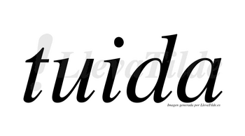 ¿Lleva tilde tuida? | LlevaTilde.es