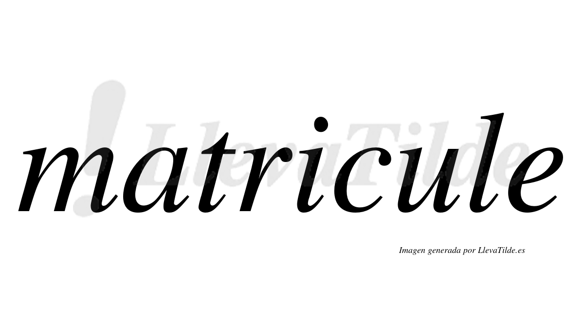 ¿Lleva tilde matricule? | LlevaTilde.es