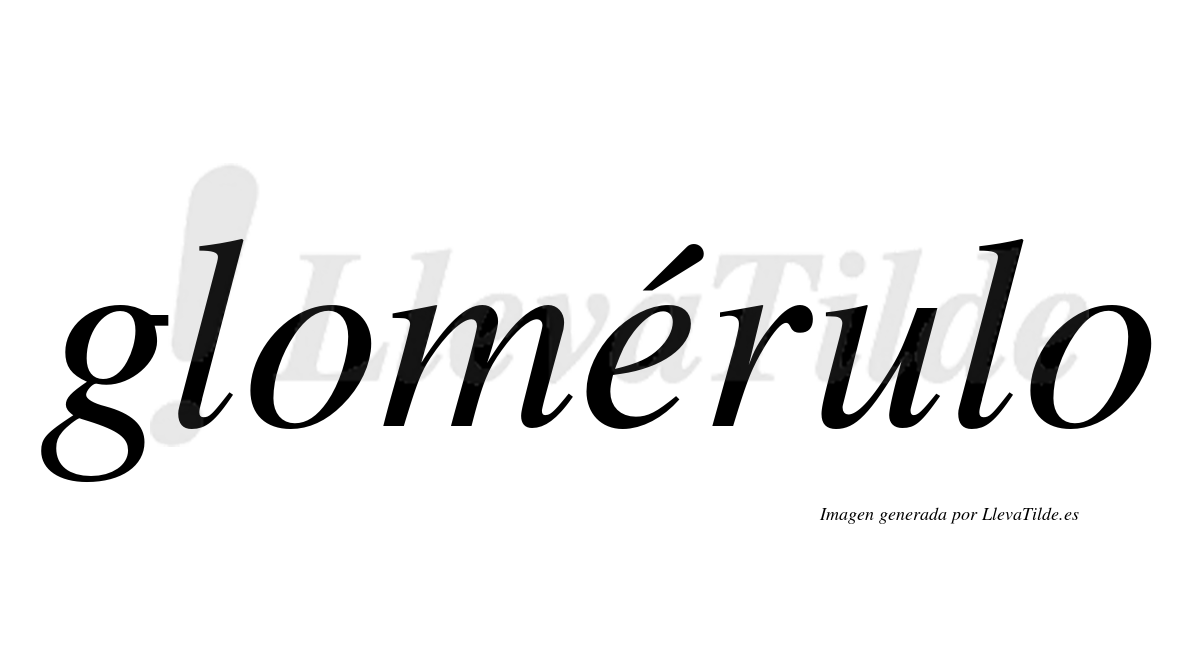 ¿Lleva tilde glomérulo? | LlevaTilde.es