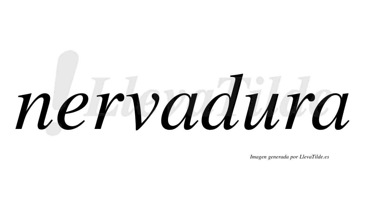 ¿Lleva tilde nervadura? | LlevaTilde.es